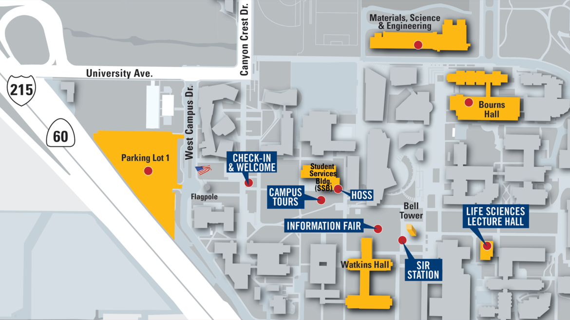 Undergraduate Admissions | Transfer Celebration